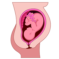 Policlinica Nativia | Reginamaria.ro